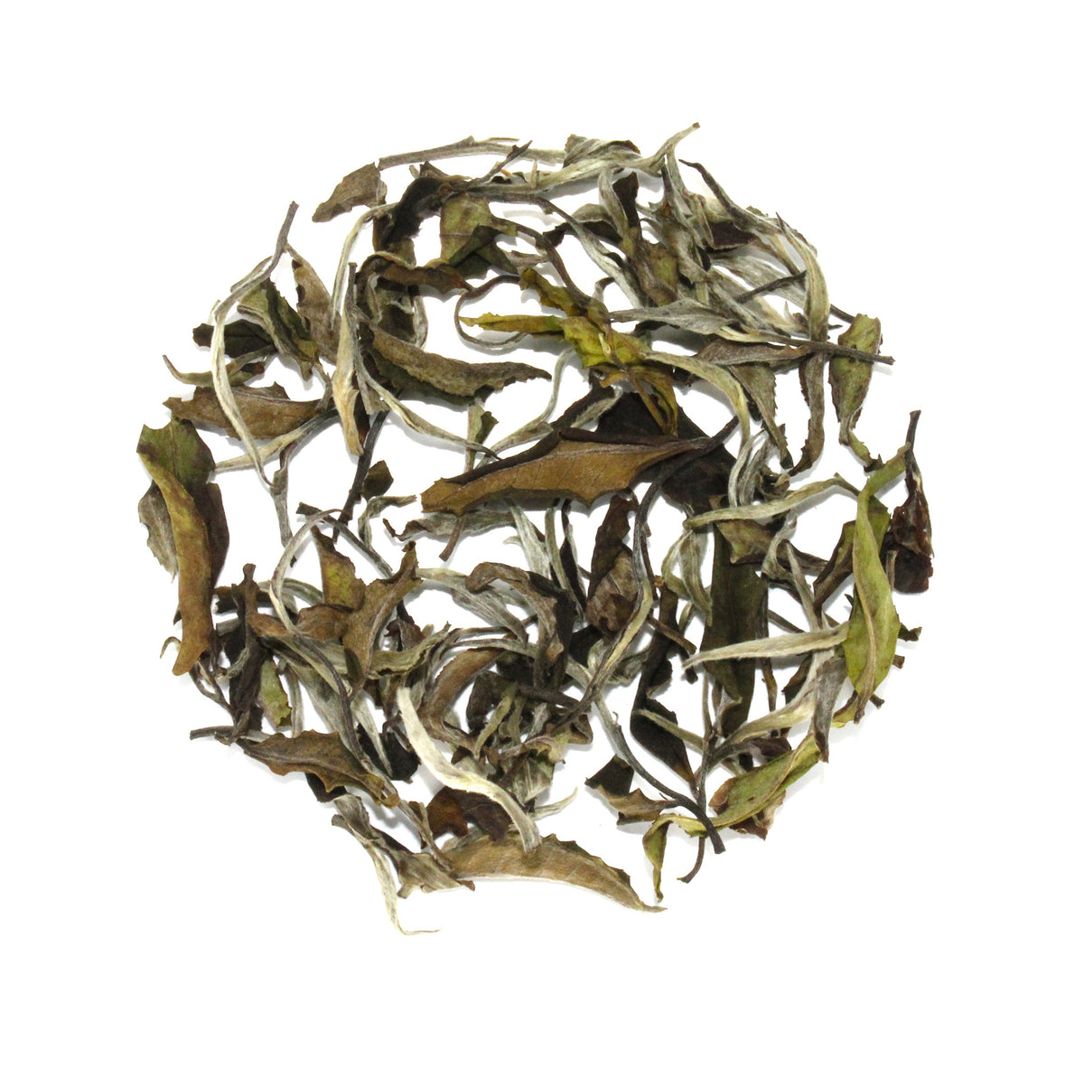 Buy best white tea online: Organic Bai Mu Dan White tea – ÉsahTea